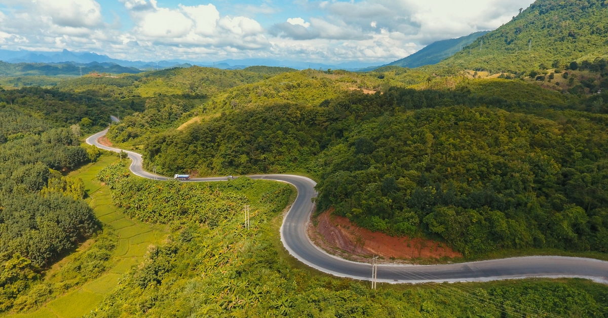 Day 51: Make Crooked Paths Straight - Light The World Now!